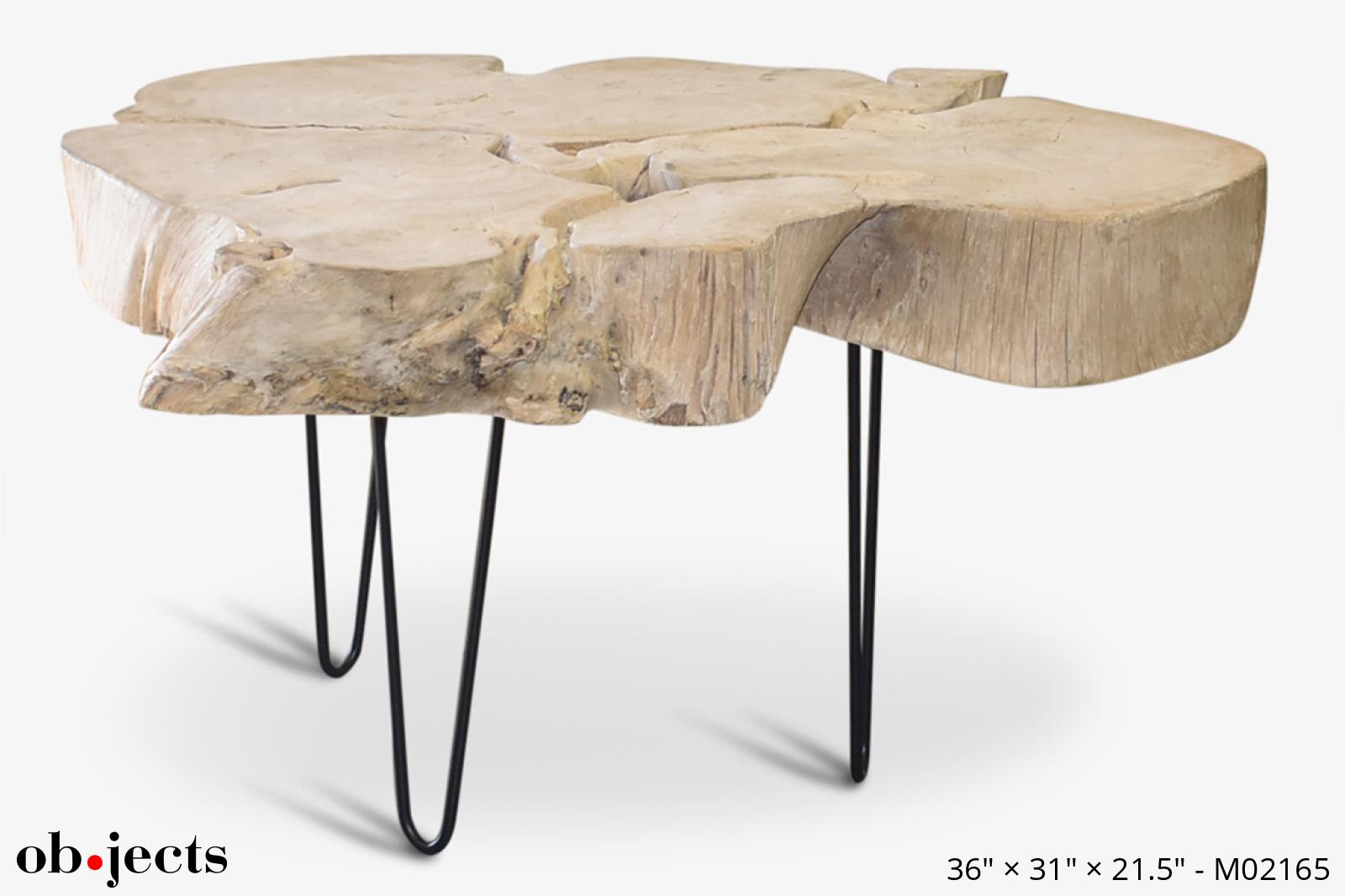 Table Banyan Tree Slice White Washed Live Edge w/Hairpin Legs | Ob•jects