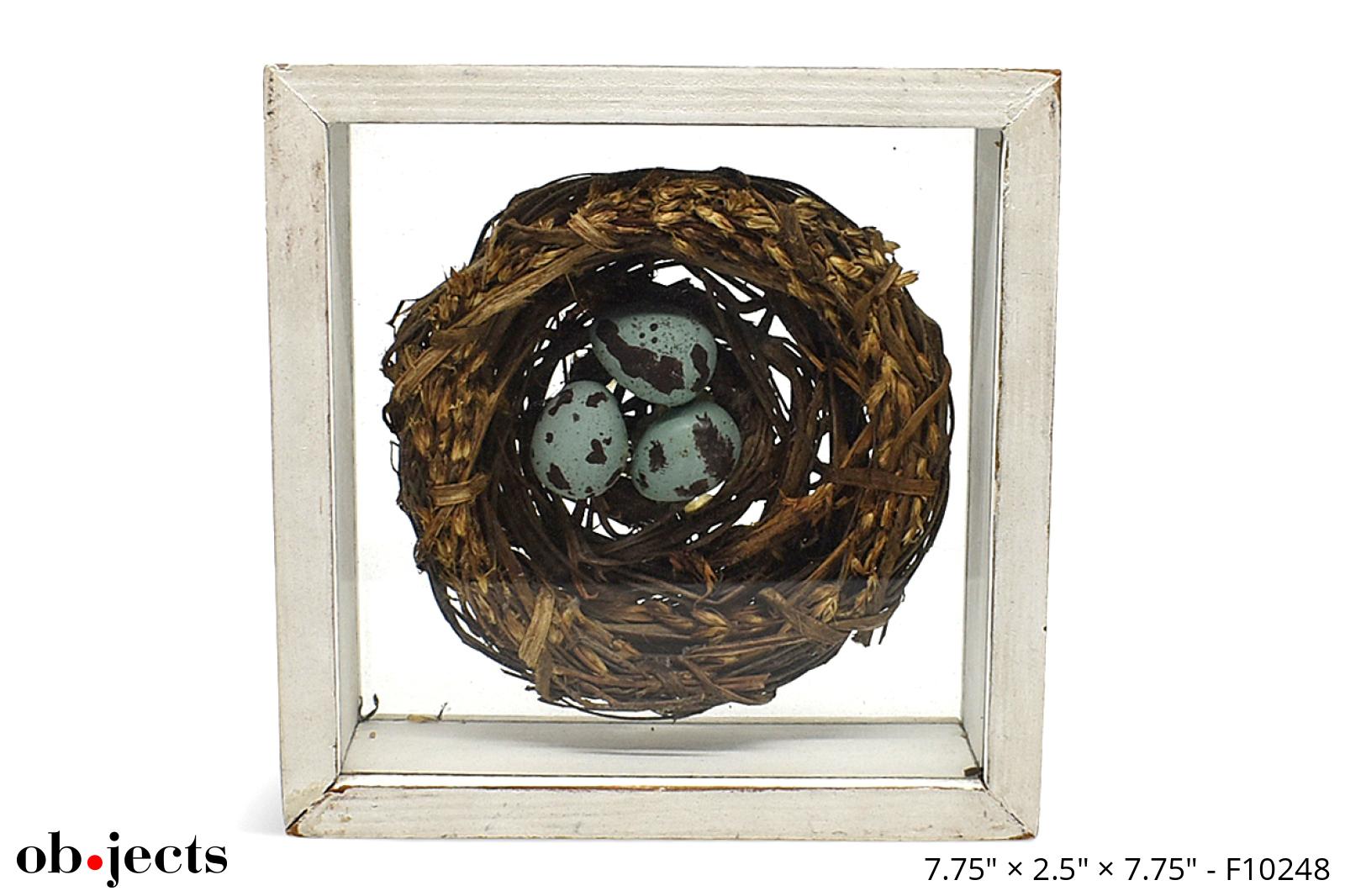 Framed Floating Bird's Nest Distressed White Frame | Ob•jects