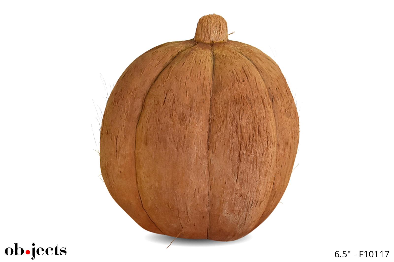 Pumpkin Orange Coconut Husk | Ob•jects